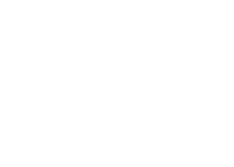 Protea Coffee – Gourmet Drip Filter Coffee